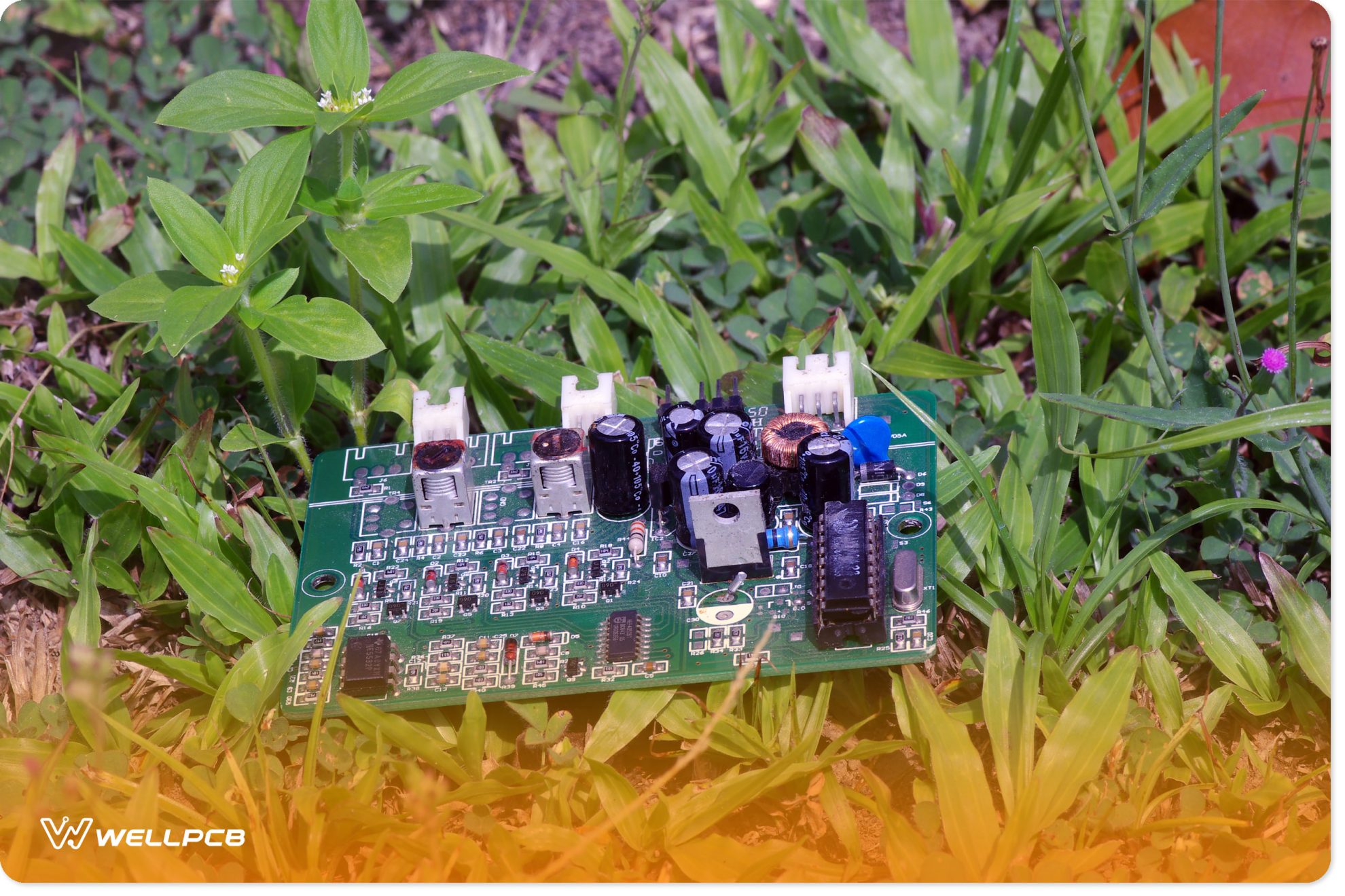 RoHS PCB Standards | Lead-Free Electronics Compliance