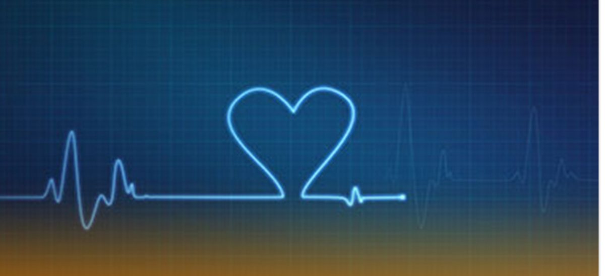 Heart Rate Monitor Circuit: A Well-Detailed Guide