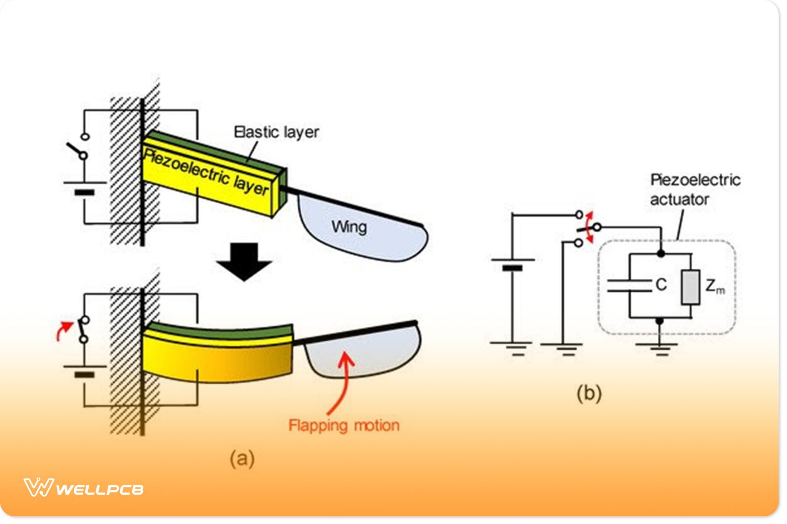 How Does Piezoelectric Work: A Complete Ultimate Guide